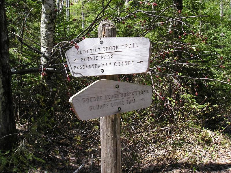 Square Ledge Branch Junction With Square Ledge Trail | New England ...